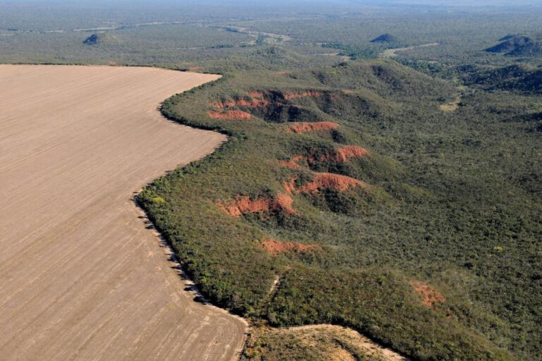 Tecnologia avança no combate a incêndios no Cerrado e muda rotina de ...