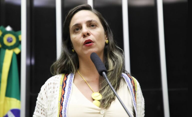 Fernanda Melchionna propõe projeto para tornar inelegíveis condenados ...