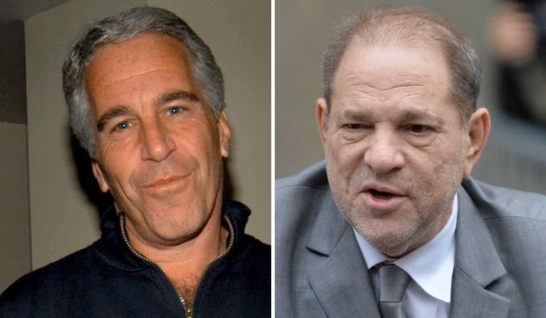 M. Hadjab: Da 'steinização (Weinstein e Epstein) do mundo'